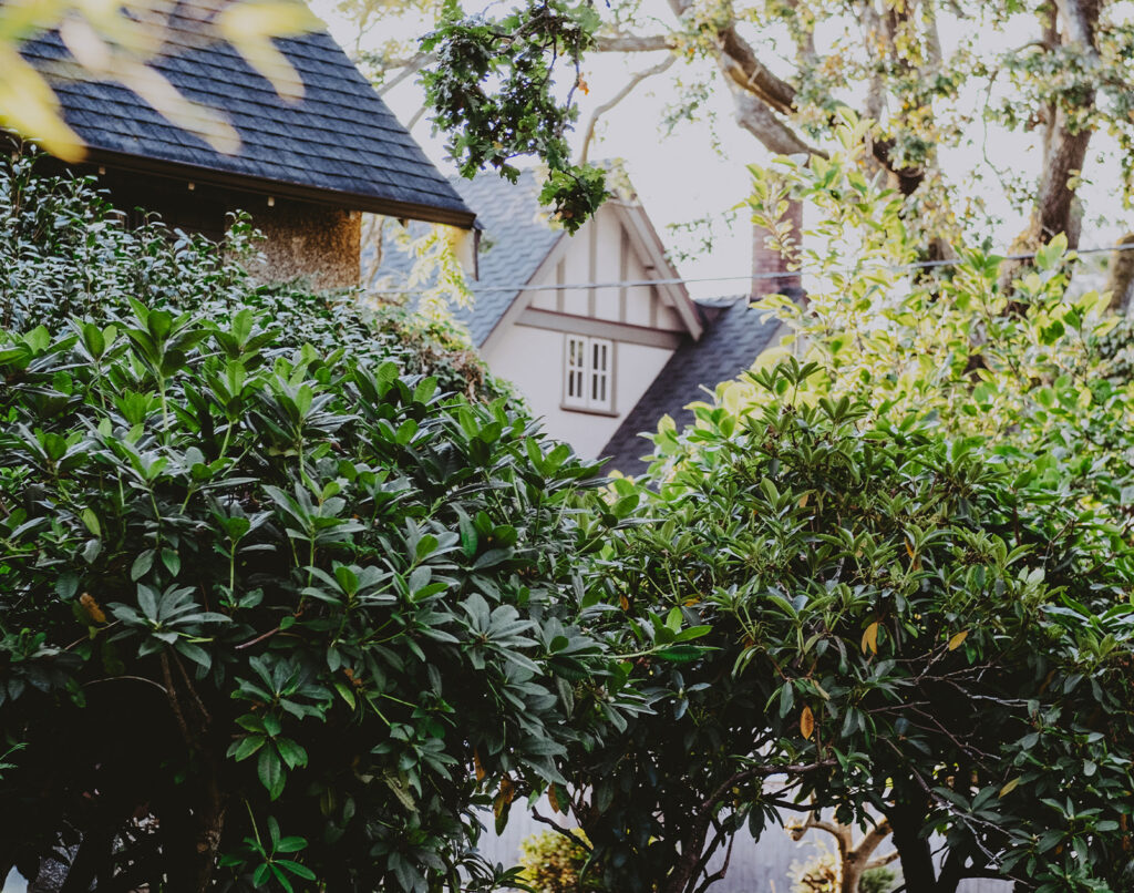 Clover Residential | Rental Management and Real Estate