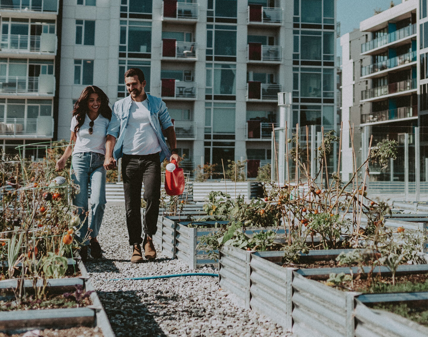 Clover Residential | Our Guide to Victoria’s Neighbourhoods