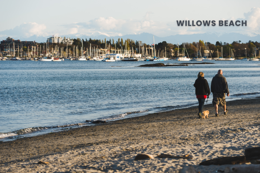 Everything You Need to Know About Victoria's Oak Bay Neighbourhood